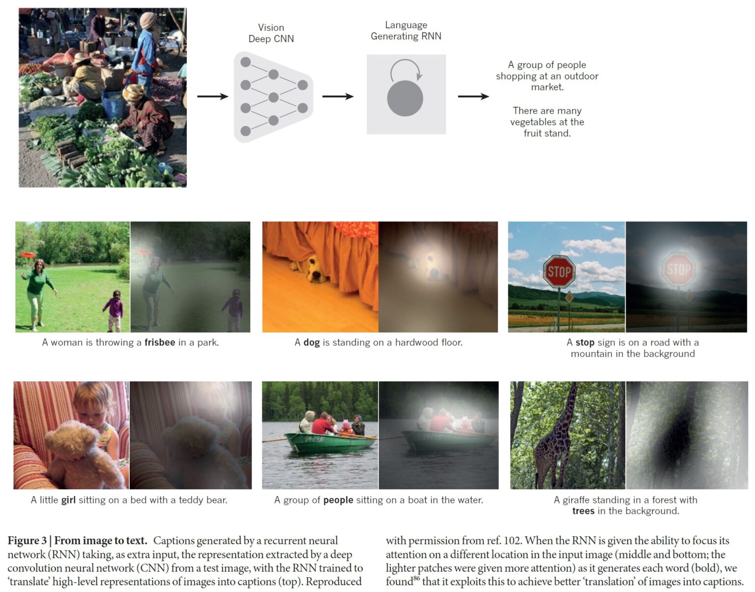 【日本語訳】Natureの論文「Deep learning」【深層学習】【トロント大学，ジェフリー・ヒントン】