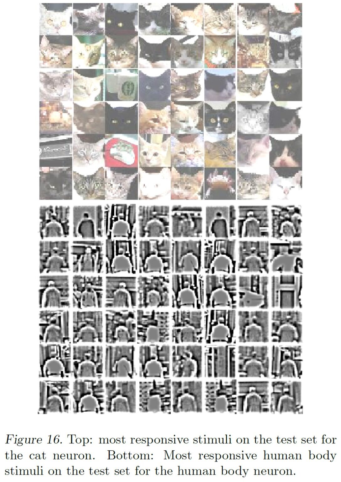 【日本語訳】Building High-level Features Using Large Scale Unsupervised Learning【Cat Paper（猫論文 ...